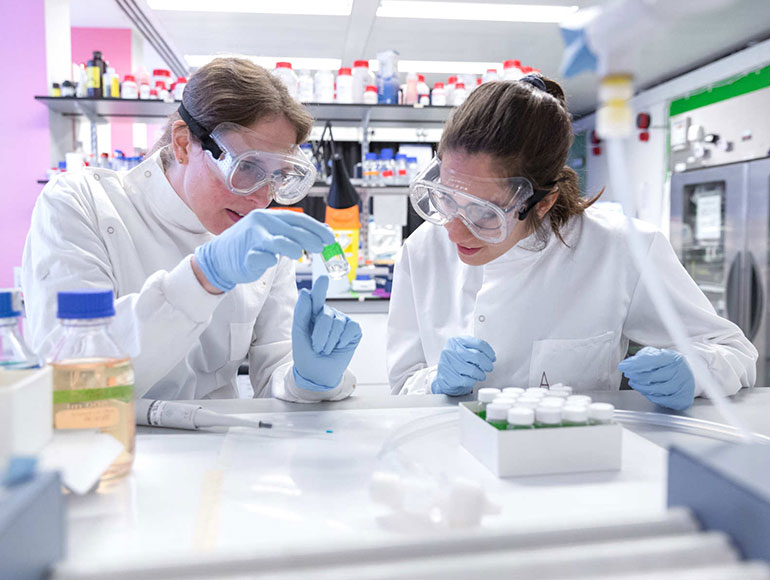 Laboratorium modern - Cruz Médika